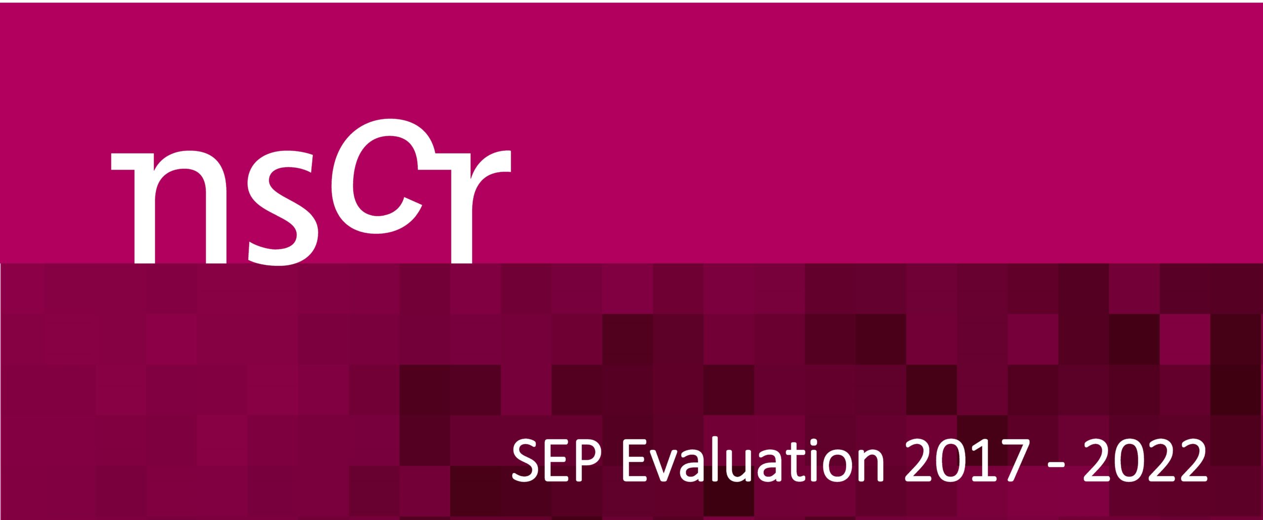 Evaluatie: NSCR top-onderzoeksinstituut voor criminaliteit en ...